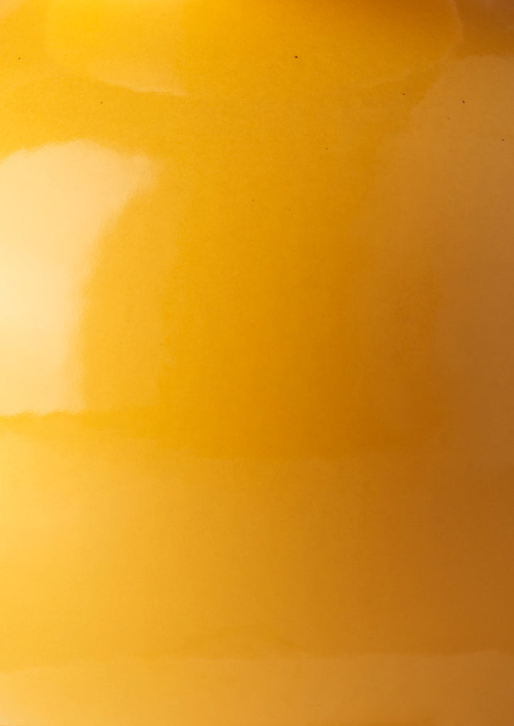 Pop - Yolk Yellow Onion – Bragg & Co.